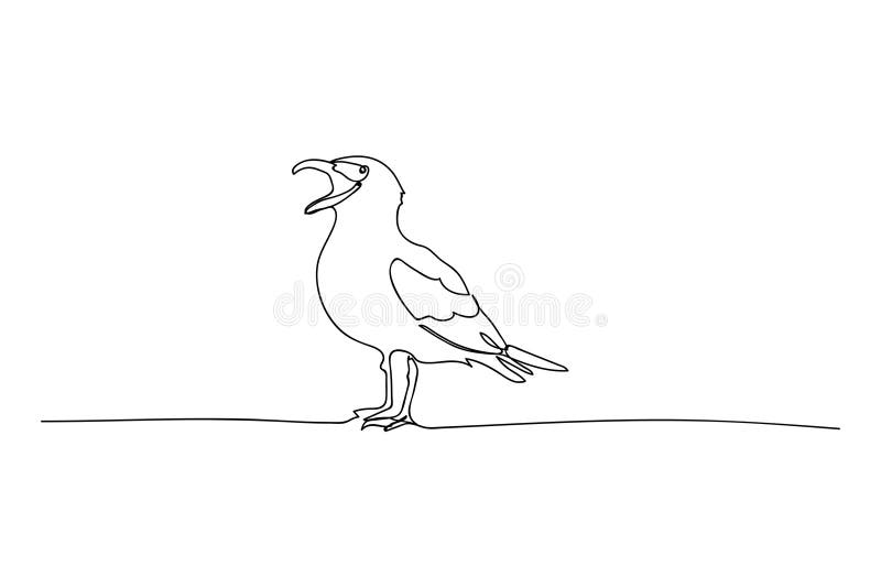 Seagull Line Drawing Stock Illustrations – 1,763 Seagull Line Drawing ...