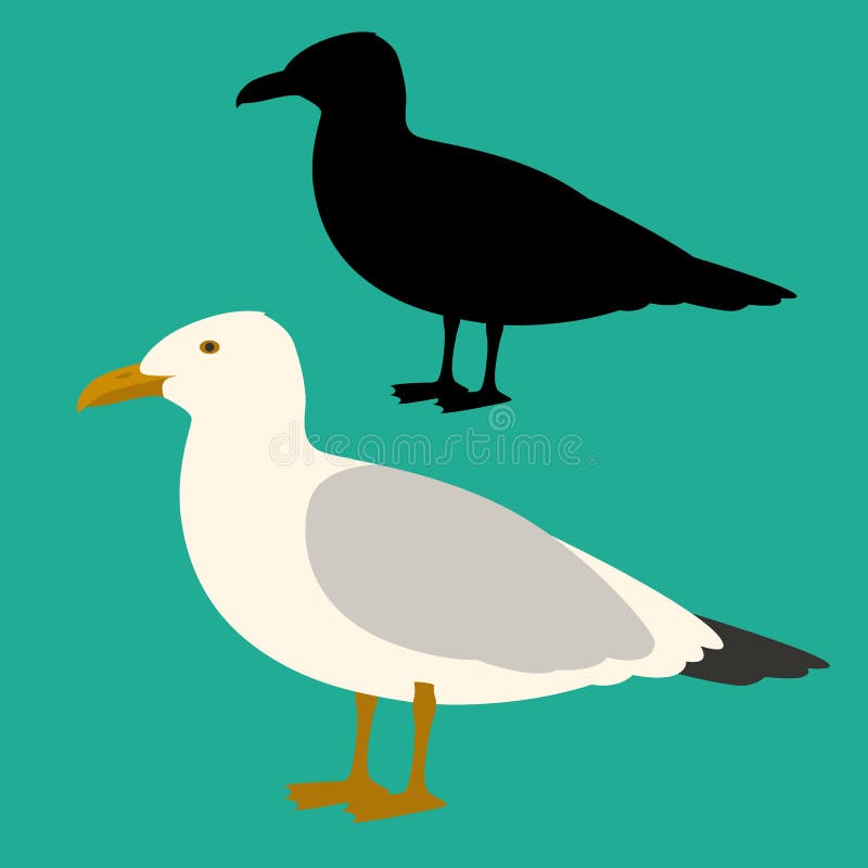 Seagull Bird Vector Illustration Flat Style Profile Stock Vector ...
