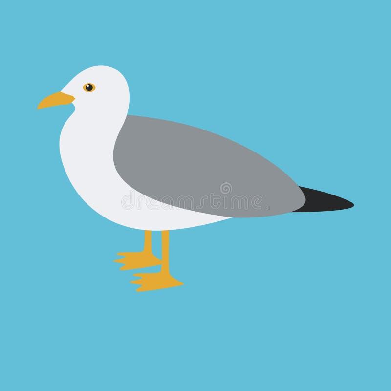 Seagull Bird Vector Illustration Flat Style Profile Stock Vector ...