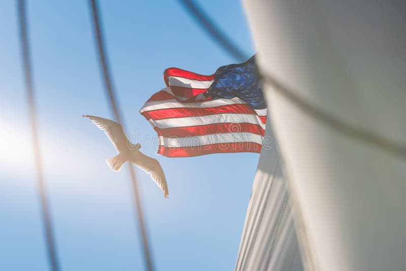 Seagull & Flag Over Schooner Stock Image - Image of horizontal, ship ...