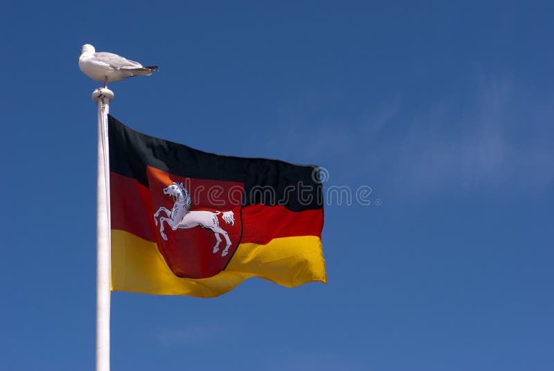 Seagull, Flagpole and German Flag Stock Photo - Image of germany, lower ...