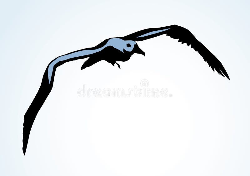 Seagull in Flight. Vector Drawing Stock Vector - Illustration of animal ...