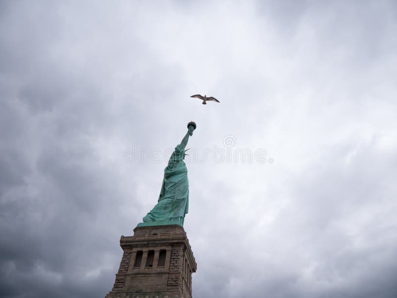 Back View of the Statue of Liberty with a Bird Passing Stock Photo ...