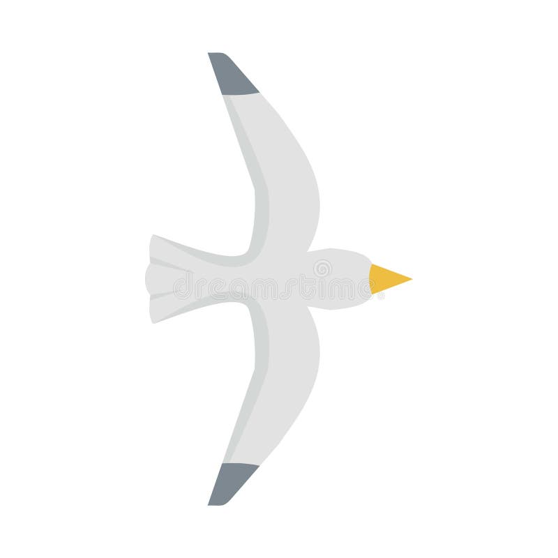 Seagull icon, flat style stock vector. Illustration of beauty - 150813474