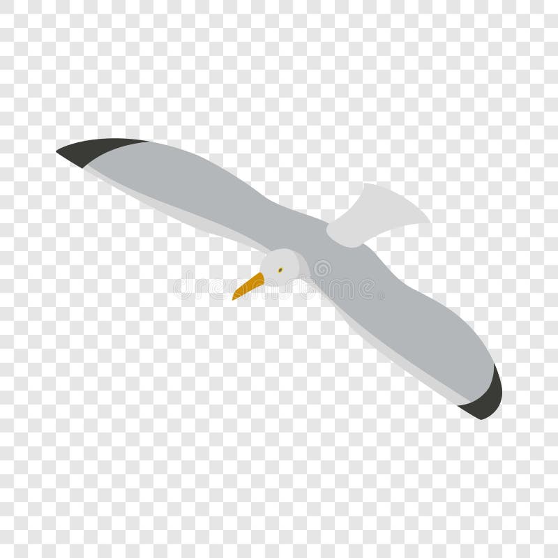 Seagull isometric icon stock vector. Illustration of beautiful - 87887237
