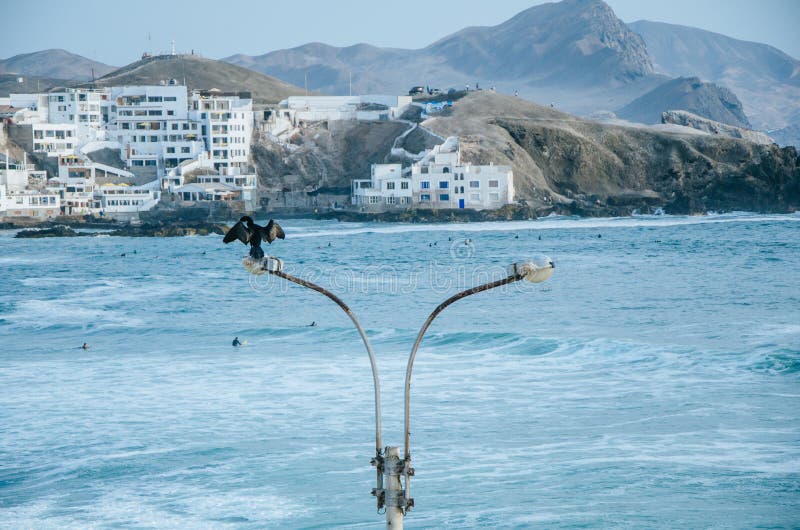 Seagull on a Lamp Post on the Beach Stock Image - Image of evening ...