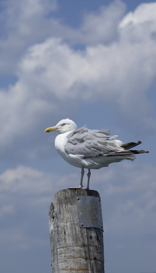 Nautical Pylon Against Blue Sky Stock Image - Image of textural, blue ...