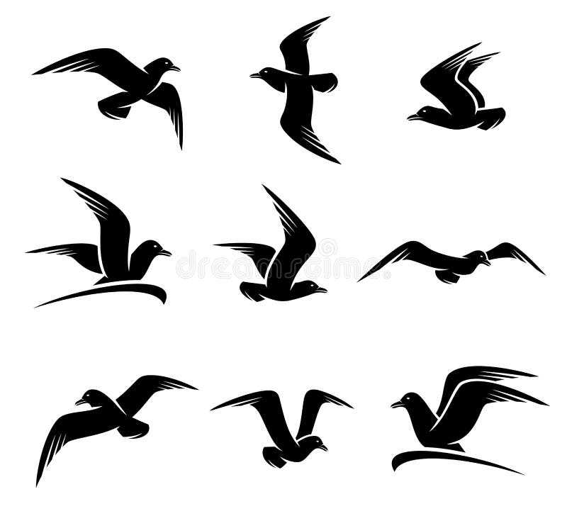 Seagull set. Vector stock vector. Illustration of seagul - 45022077