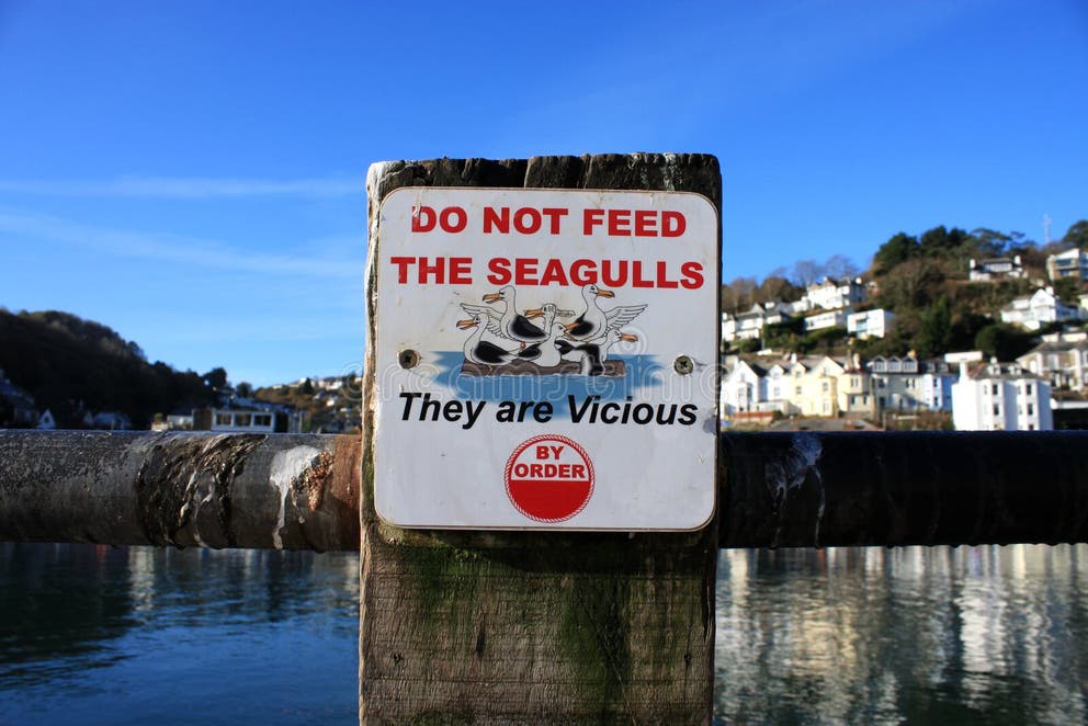 Seagull Sign stock image. Image of prohibit, motor, yacht - 40661795