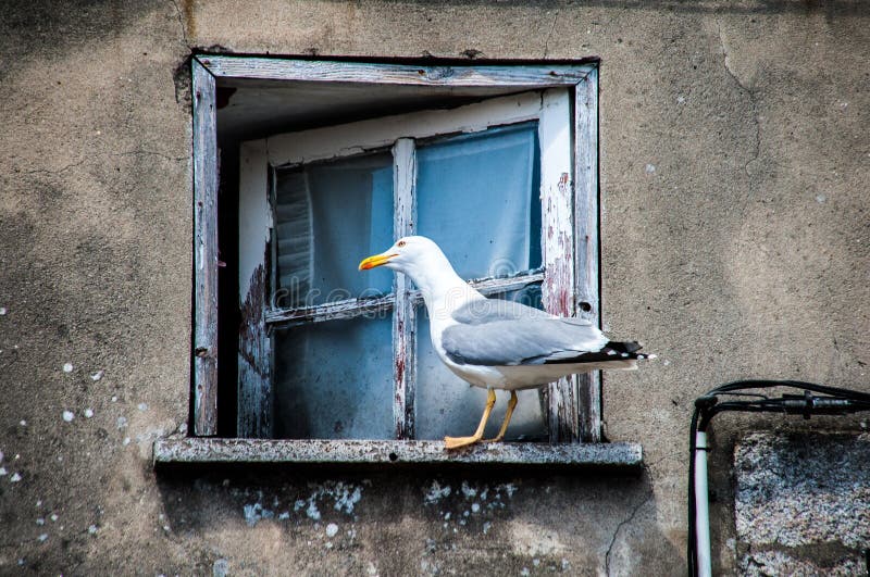 Kretos - Photographer profile