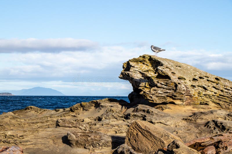 Jack Point stock photo. Image of cinder, pines, scene - 163363774