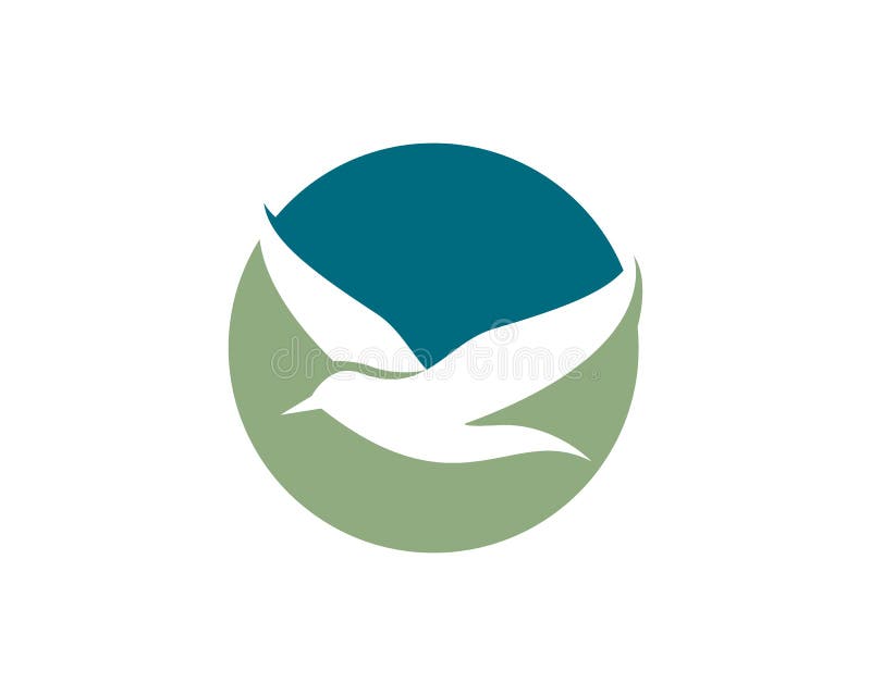 Seagull Symbol Illustration Design Stock Vector - Illustration of ...