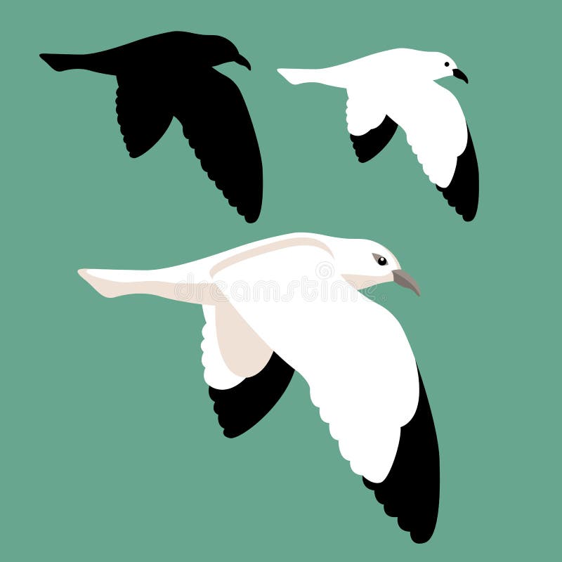 Seagull Vector Illustration Style Flat Silhouette Stock Vector ...