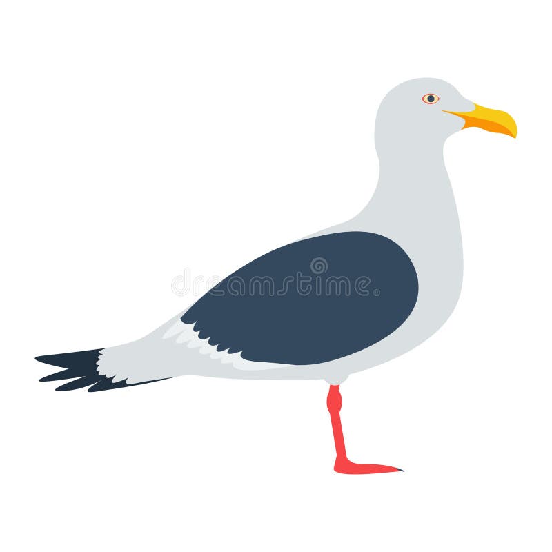 Ikona Wektora Mewy. Obrys Edycyjny Mewy. Symbol Liniowy Mewa Do ...