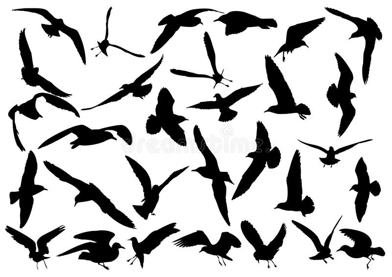 Seamless Texture with a Flock of Seagulls Flying Stock Vector ...