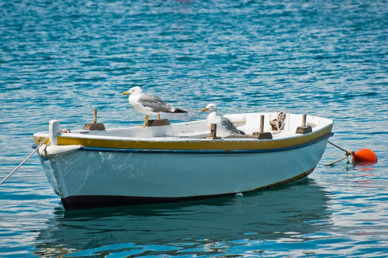 Seagulls on boat stock photo. Image of seascape, yellow - 21264908