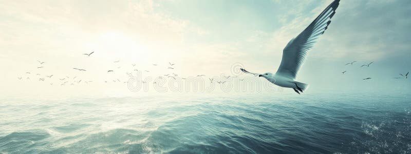 Seagulls Fly Over the Sea with Freedom Concept and Coastal Views Stock ...