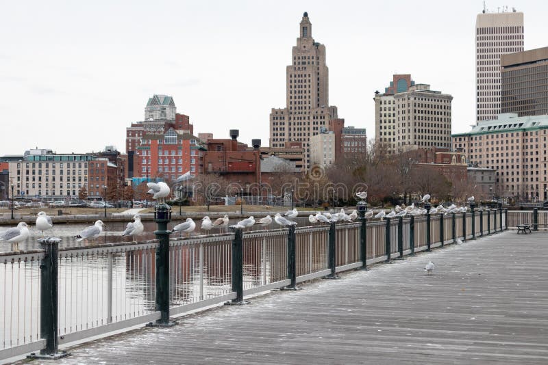 Seagulls Along the Riverfront of the Providence River with the Downtown ...