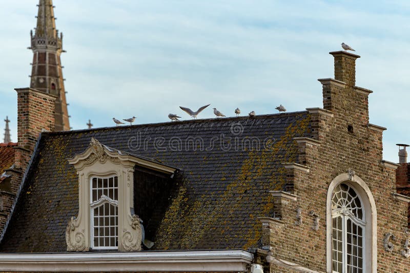 Seagulls Perched on the Medieval Stepped Roof of a Building Stock Photo ...
