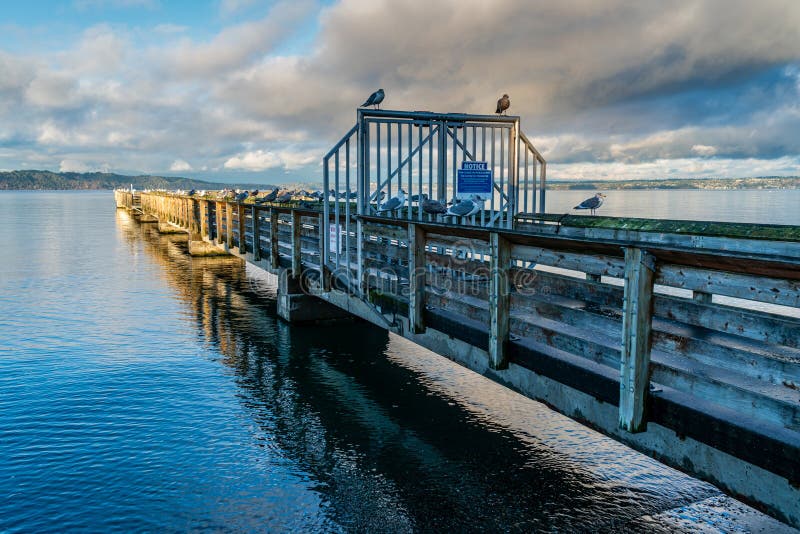 Seagulls on Pier 3 stock image. Image of architecture - 303983027