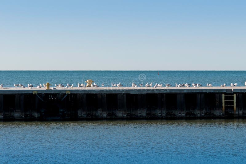 Seagulls on a pier stock image. Image of water, erie - 31478237