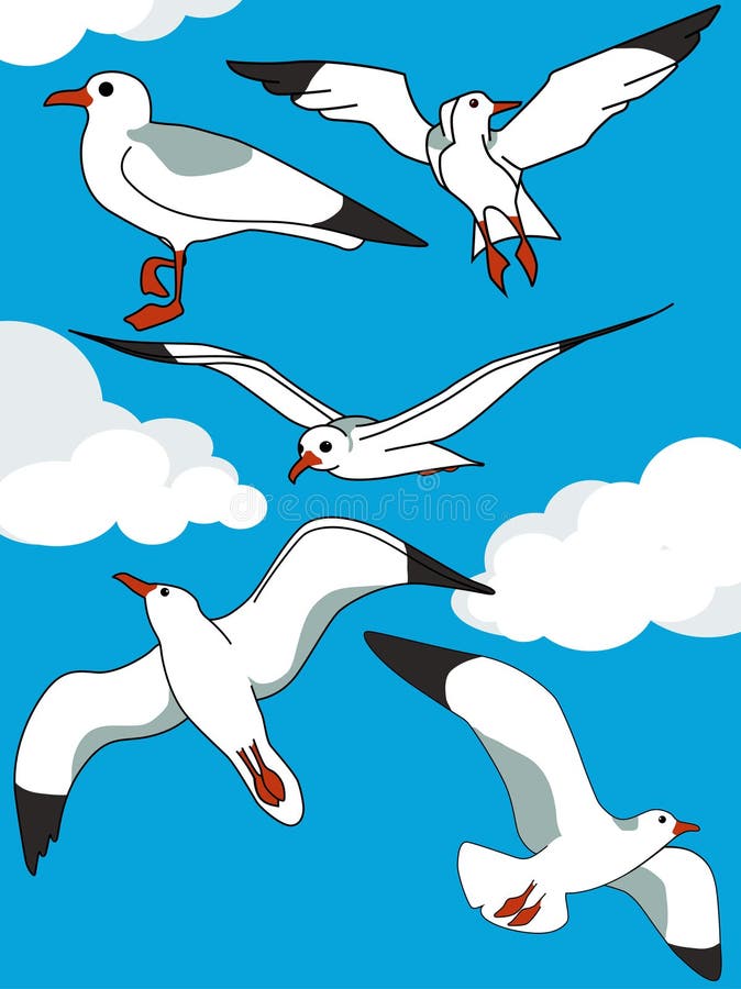 Seagull Stock Illustrations – 19,944 Seagull Stock Illustrations ...