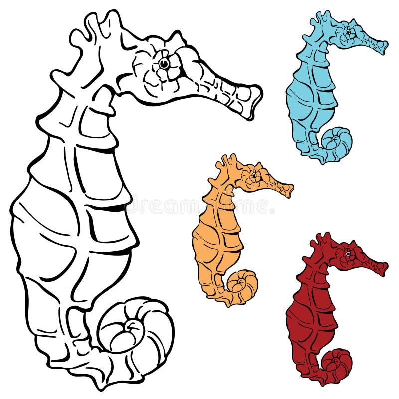 Seahorse Drawing stock vector. Illustration of isolated - 15685540