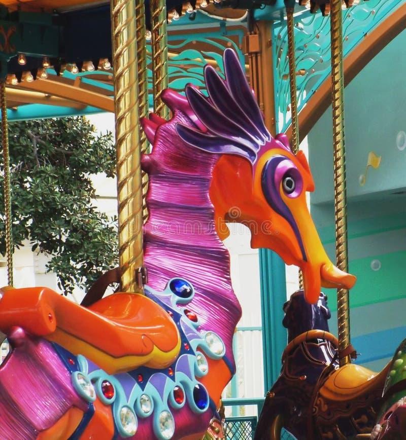 5,559 Seahorse Photos - Free & Royalty-Free Stock Photos from Dreamstime