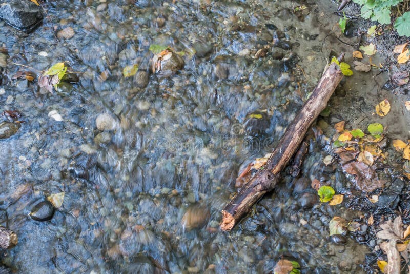 Seahurst Beach Rushing Stream Stock Image - Image of rushing, flowing ...