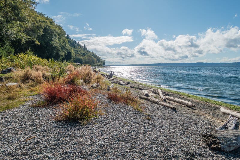 Seahurst Beach Shoreline stock photo. Image of park - 101295508