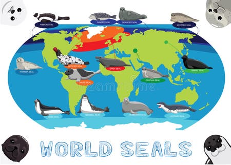 Seal Distribution World Map Cartoon Vector Stock Vector - Illustration ...