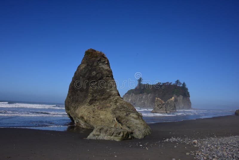 Seal Rock stock photo. Image of walking, sitting, amazing - 83096230