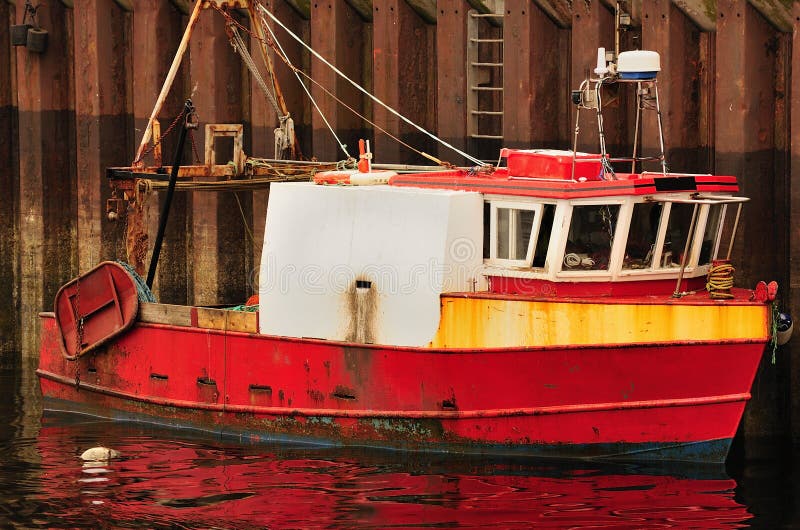 Seal, Waiting for Fish Discard Stock Image - Image of common, head ...