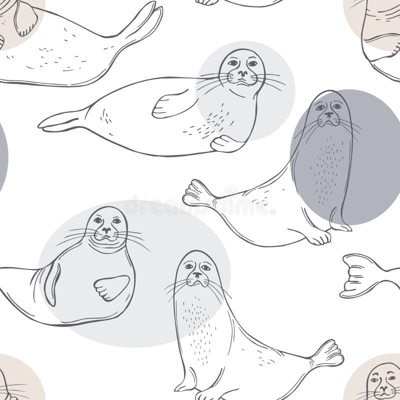 Seals. Vector pattern stock vector. Illustration of beach - 230160768
