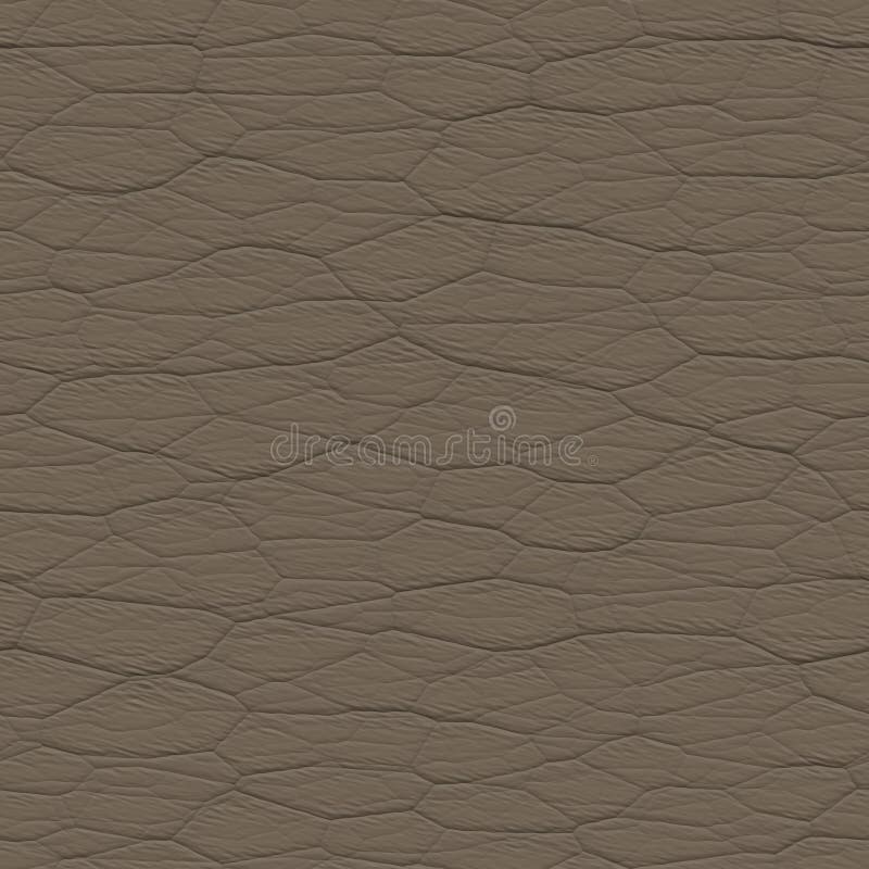Animal Skin stock image. Image of nature, seamless, background - 20114513