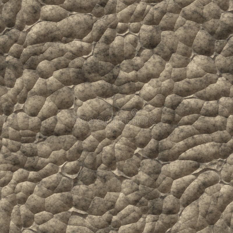 10,976 Seamless Texture Animal Skin Stock Photos - Free & Royalty-Free ...