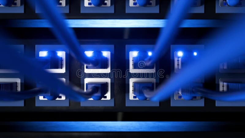 Connected Ethernet Cables Stock Footage & Videos - 197 Stock Videos
