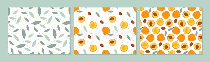 Seamless Apricot Pattern Set. Three Patterns Collection. Fresh Fruits ...