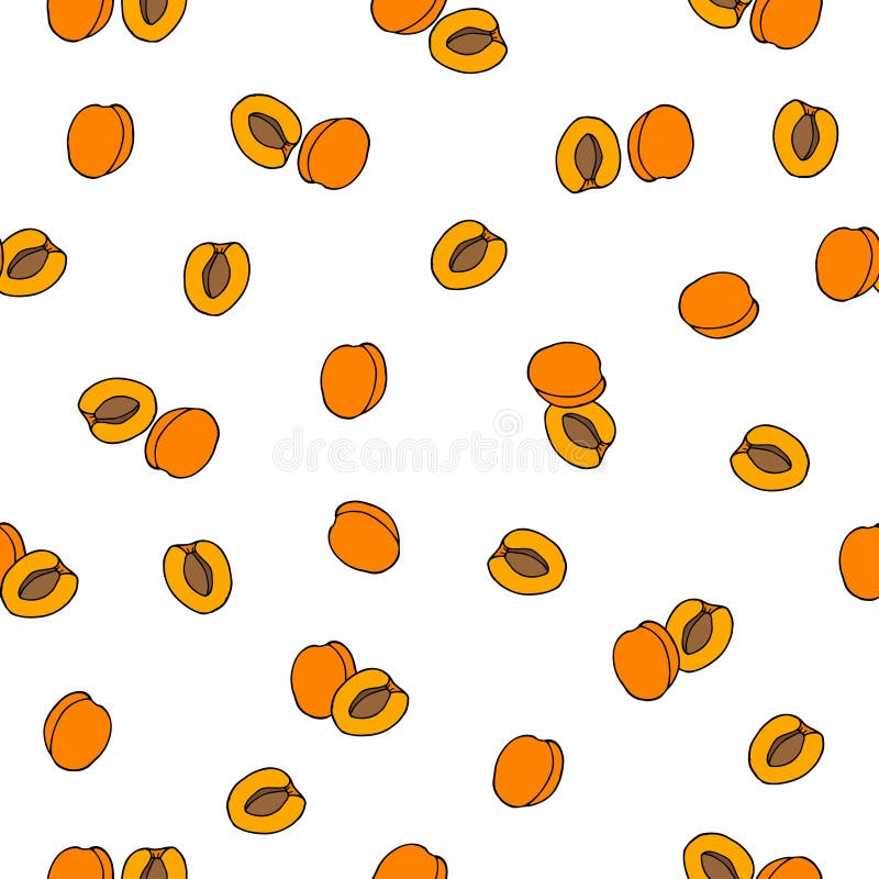 Apricot Kernel Drawing Stock Illustrations – 120 Apricot Kernel Drawing ...