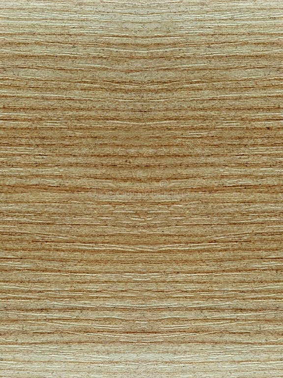 Seamless Ash Texture. Light Ash Wood Stock Image - Image of hardwood ...