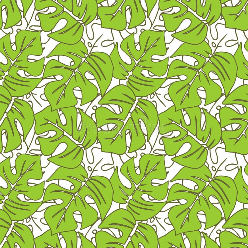 Seamless Asymmetric Pattern of Green Tropical Leaves on a White ...