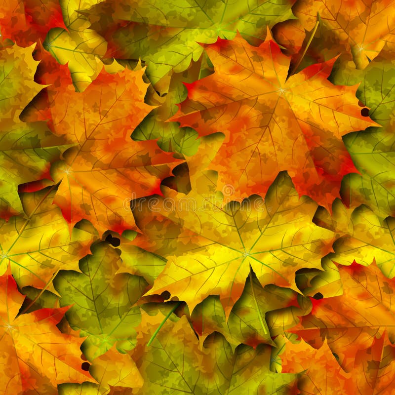 Seamless Autumn Pattern. Vector Stock Vector - Illustration of detail ...