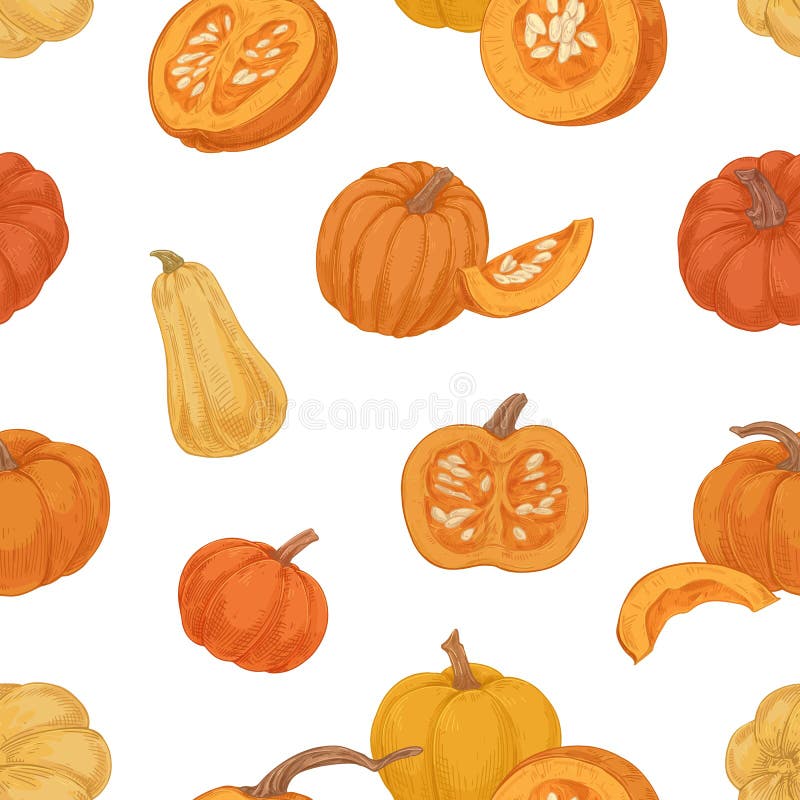 Seamless Autumn Pattern with Pumpkins and Squashes on White Background ...