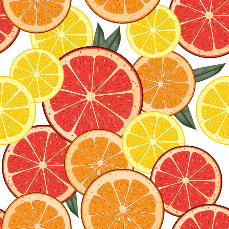 Citrus slices stock vector. Illustration of ornamental - 18346996