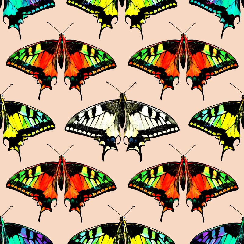 Seamless Background of Colorful Butterflies. Stock Illustration ...