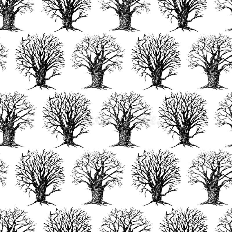 Seamless Background of the Drawn Trees Stock Vector - Illustration of ...
