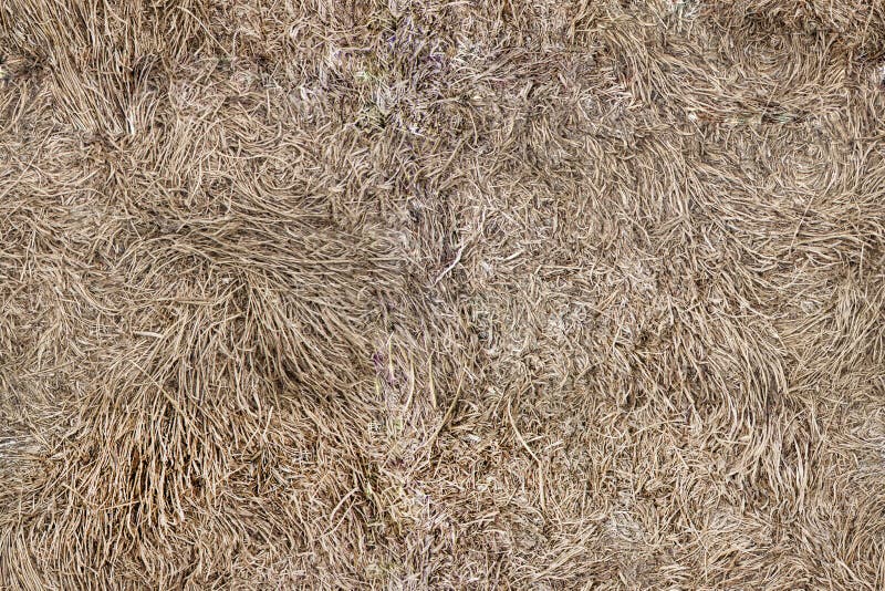 Dead Grass Texture Seamless Photos - Free & Royalty-Free Stock Photos ...