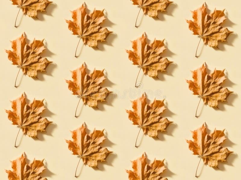 Seamless Background with Dry Maple Leaf on Beige Paper Stock Image ...
