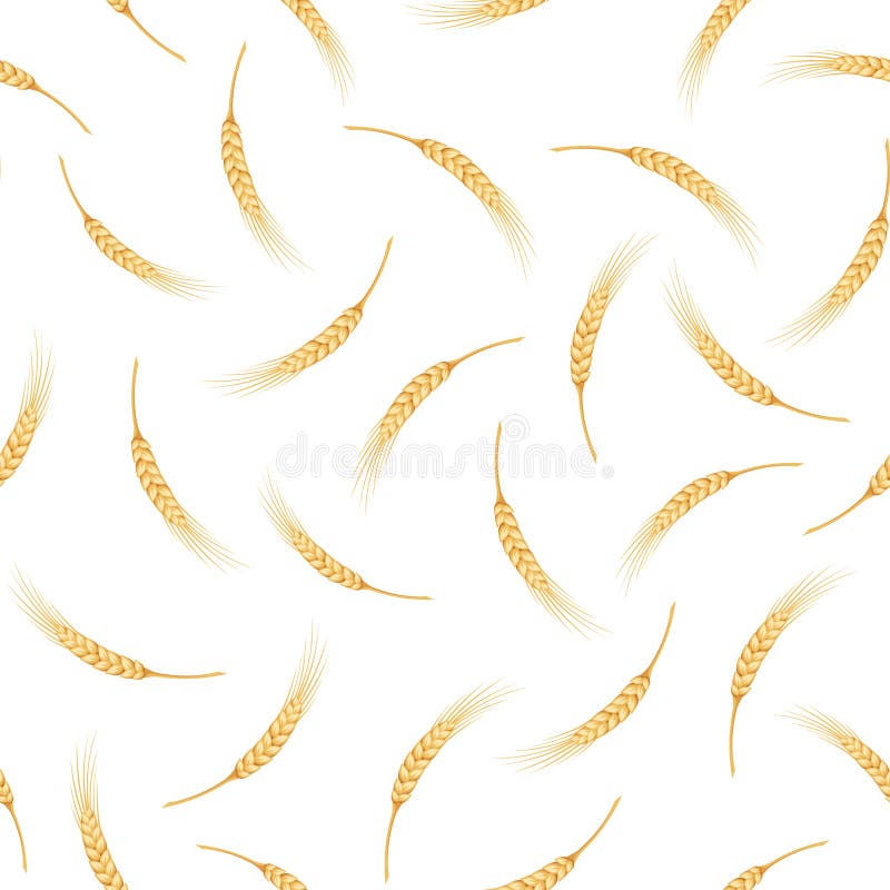 Seamless Wheat Ears Pattern Stock Vector - Illustration of golden ...
