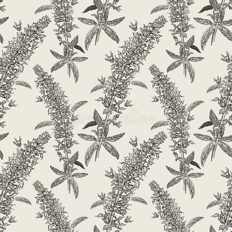 Seamless Background with Painted Monochrome Plants of Sage. Print ...